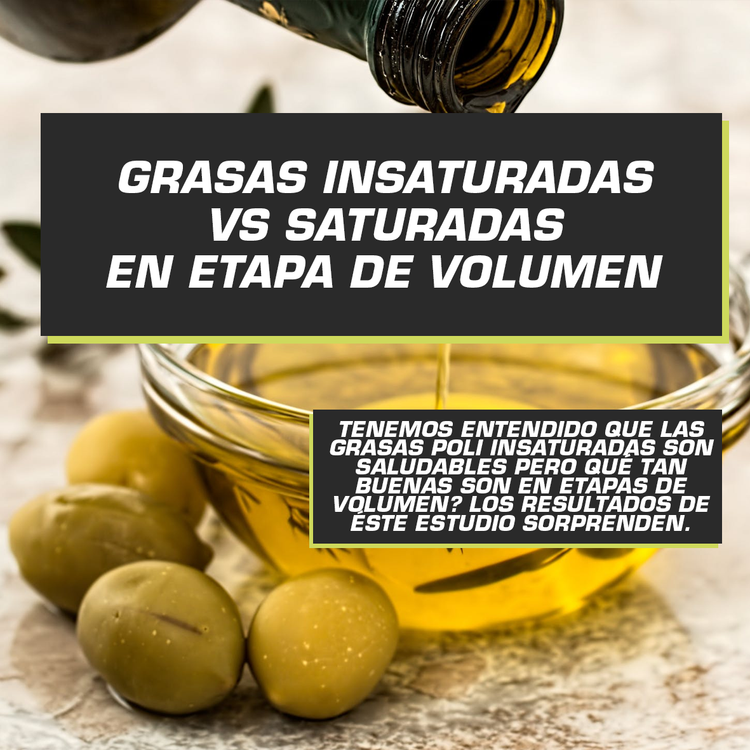 GRASAS INSATURADAS VS SATURADAS EN ETAPA DE VOLUMEN – Construyetucuerpo ...